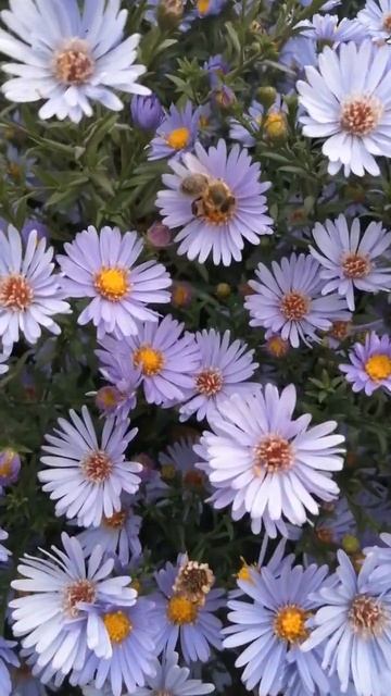 28 сентября 2025 г.