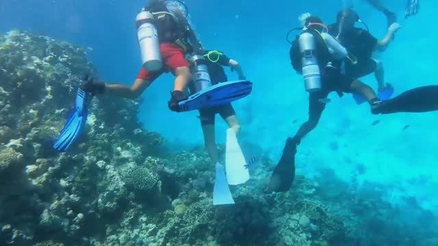 Снорклинг в Красном море — Рай под водой! Остров Махмия из Хургады 🐠