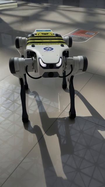 «Газпром трансгаз Томск» принимает участие во Всероссийской неделе охраны труда в Сочи.