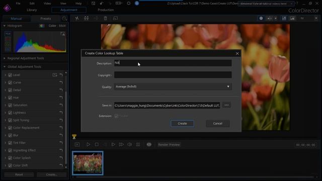 ColorDirector — создание и применение LUT-таблиц