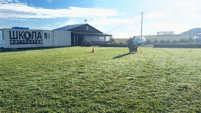 6.  выражено/перв SHABARDHOF ILMARSA GRAND (Targaryen Wilcza Horda-Team – Shabardhof Aureliya)