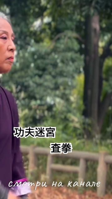 Лабиринты кунг-фу - Мэйки - Ча Цюань