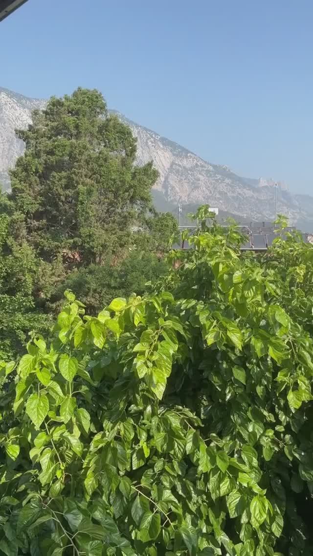 Club Hotel Sunbel Санбел Бельдиби, Кемер, Турция