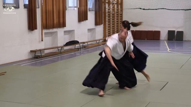 Aikido_ Stephane Goffin Balaton_HU 2020