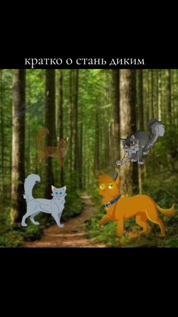 кратко о стань диким