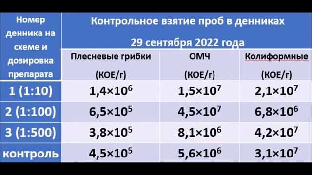 Устранение запахов и плесневых грибков с ЭМ-Вита в конюшне ROSSO.