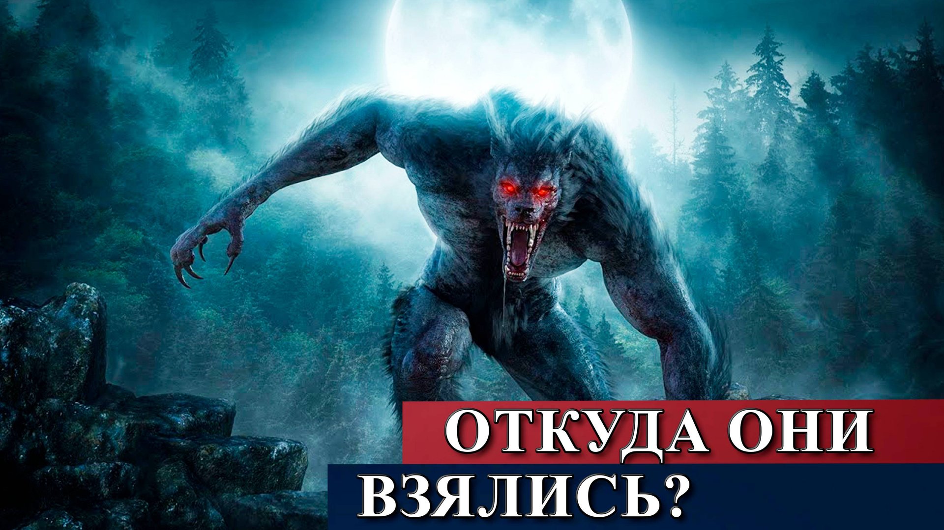 Откуда они взялись?