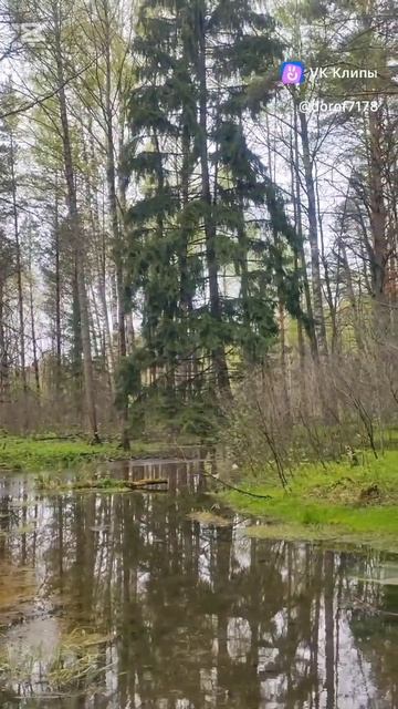 Соло вело поход в Национальный парк "Орловское полесье" / родник "Рясник" #велопоход #веоотуризм