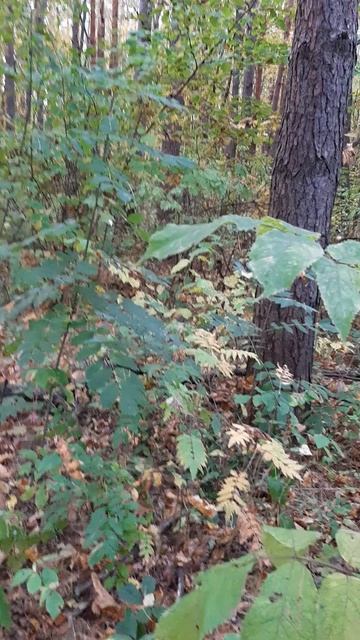 Советы. Как дифференцировать учебные материалы на рабочем_столе.