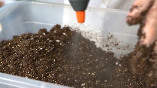 Применение ЭМ-препаратов для создания живого грунта с Мариной Рыкалиной