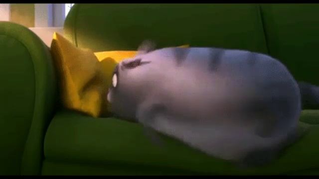 Клип_Хлоя_царица__SD 360p_MEDIUM_FR30~2