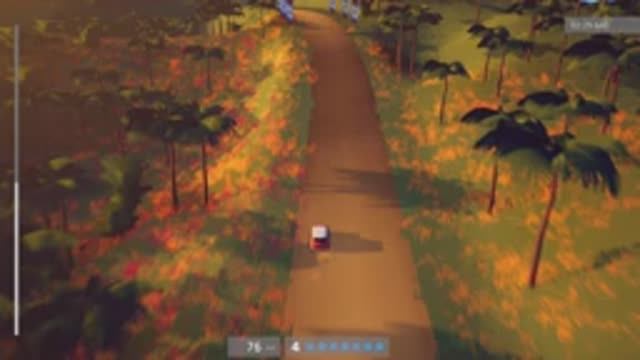 Art of rally - Группа 2 - 1968 - Индонезия