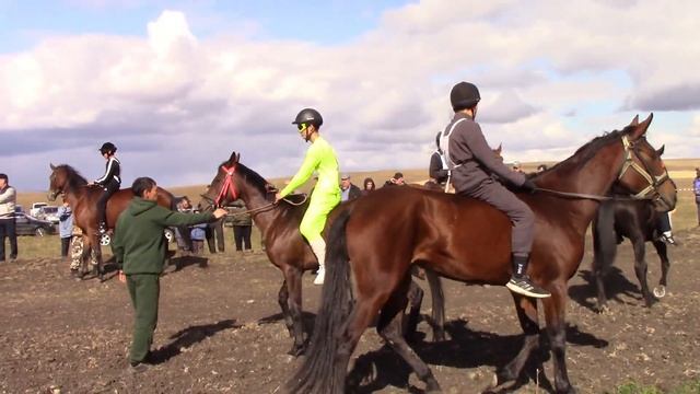 Скачки с.Воронино, Уйский район. 27.09.25г