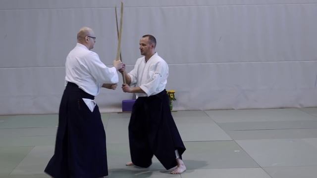 Aikido_ Stephane Goffin in Hakoah Vienna