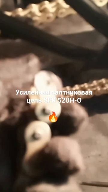 Цепь приводная SFR 520H-O (усиленная, сальниковая, золотая) на мотоцикл Рейсер Триумф 250