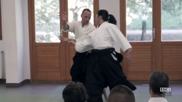 Aikido_ Stephane Goffin Summer-Seminar 2014