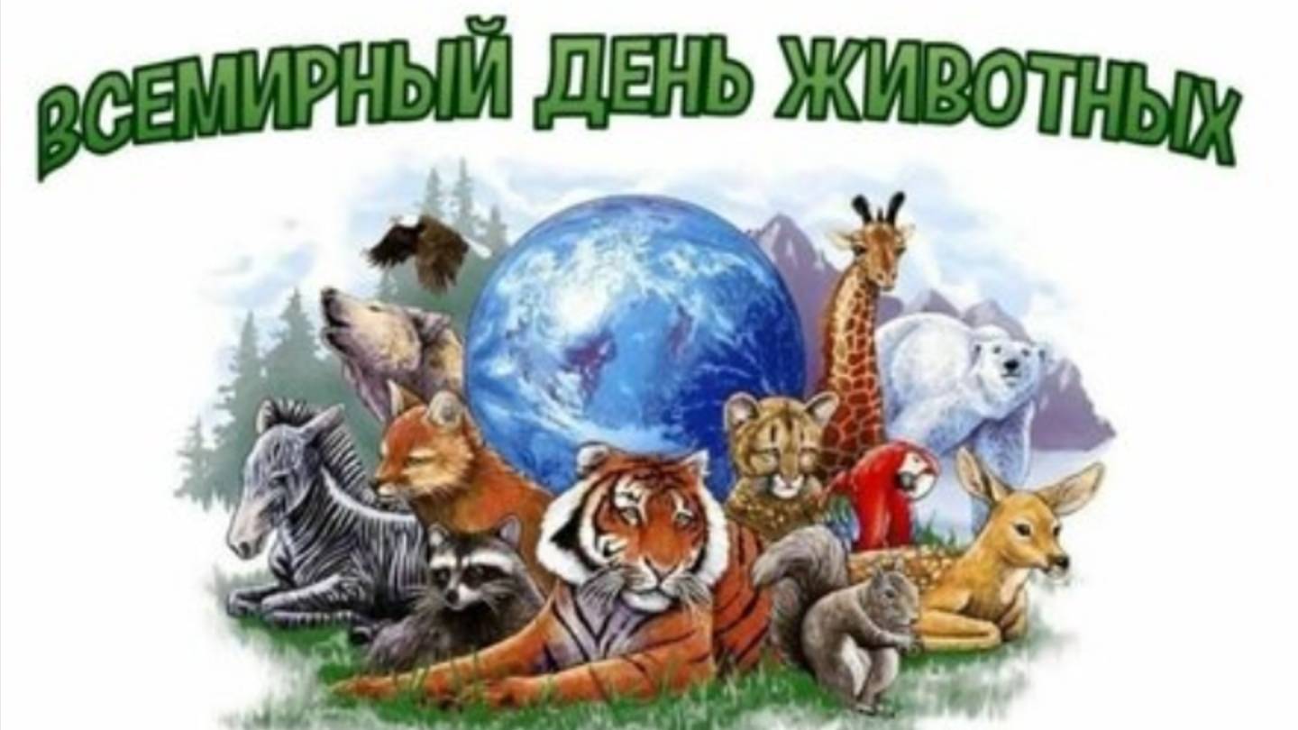 День животных. 🐾