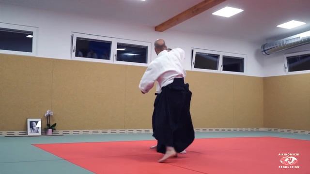 Aikido_ Stephane Goffin Vienna Nov 2019