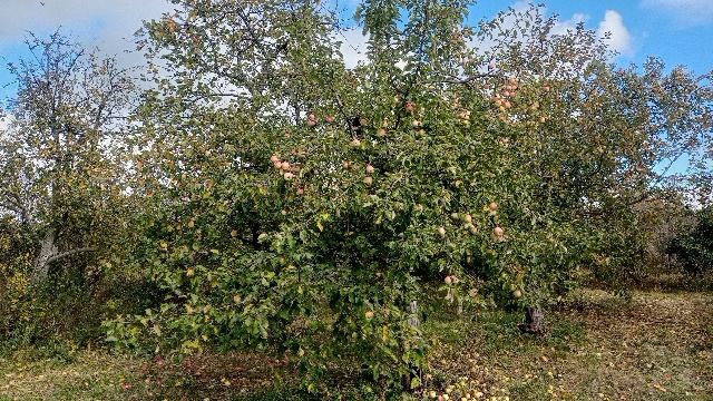 Музыка для сна 2