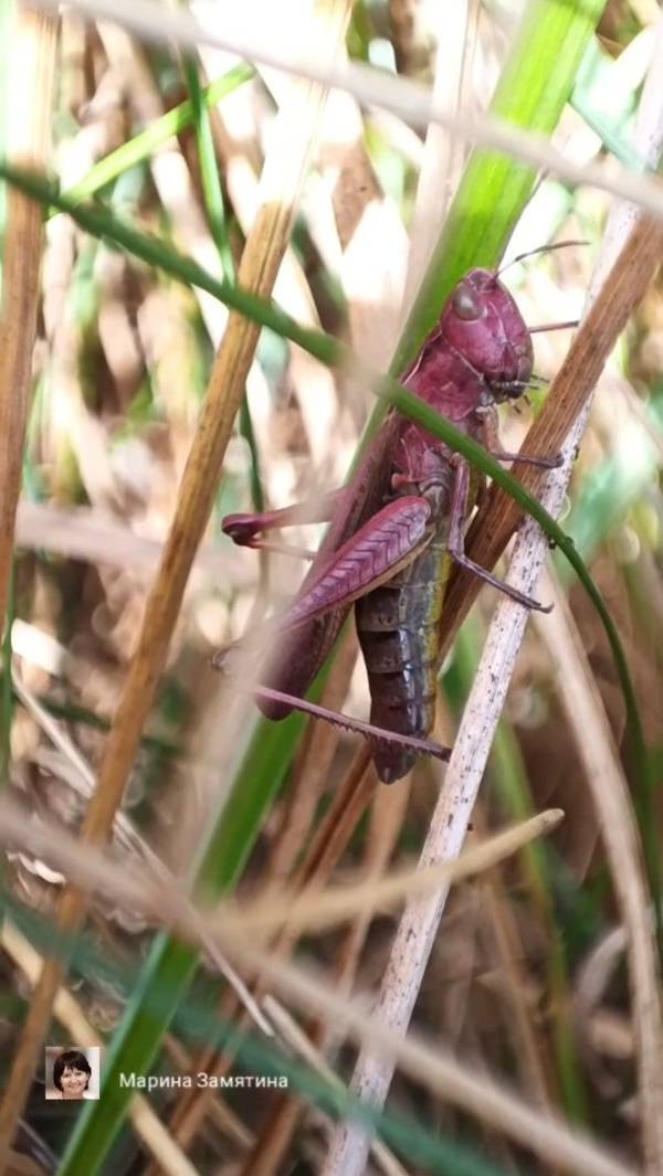 Хороший октябрьский денек.