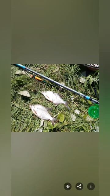 Обычные рыбацкие будни👍🎣
