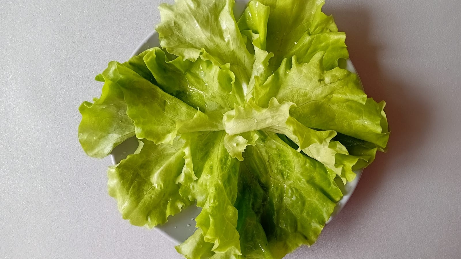 Рулетики из листьев салата с двумя начинками