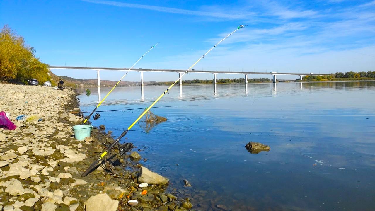 ТУТ ЛОВЯТ МЕШКАМИ!! САЗАНЫ, ЛЕЩИ, КАРАСИ - РЫБАЛКА ОСЕНЬЮ НА РЕКЕ
