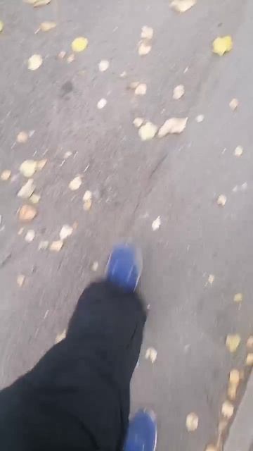 ЛЕНОБЛАСТЬ _КИРОВСК НЕ ЗНАЮ ,ЧТО СКАЗАТЬ -041025 -- N_S0F TREE 8 - Made with Clipchamp