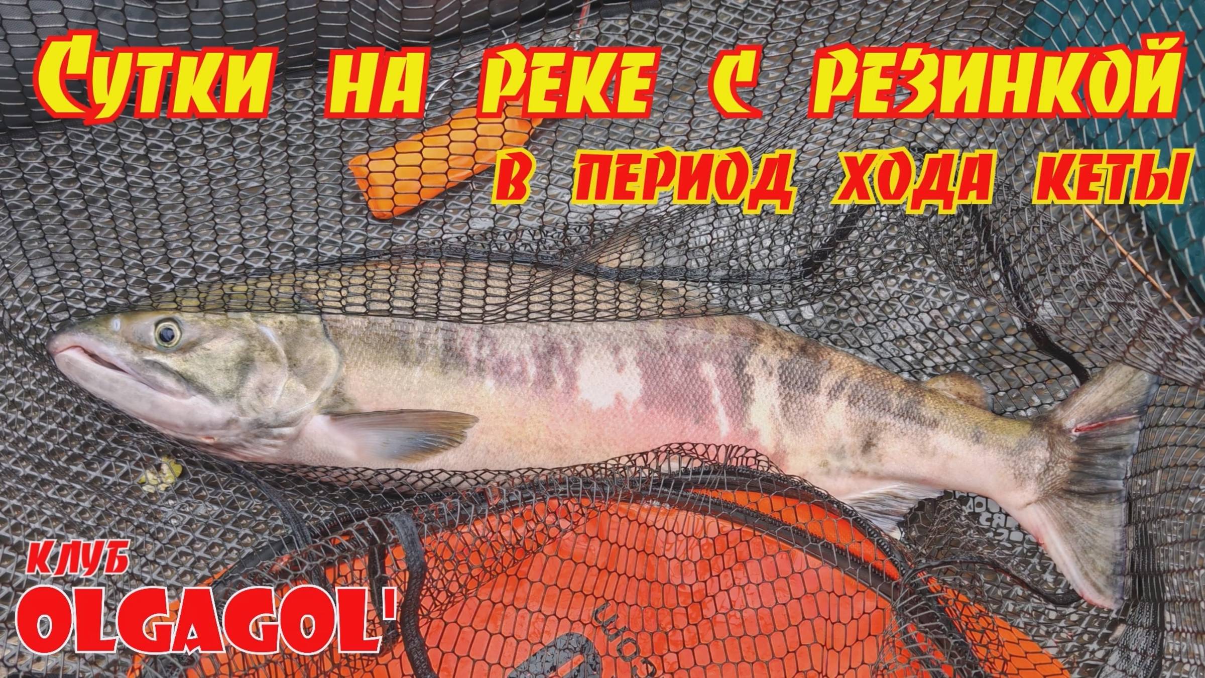 Сутки на реке с резинкой в период ловли кеты.