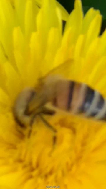 2022-05-25_7101768476527758593_720p [clean_gentle_lossless_1]