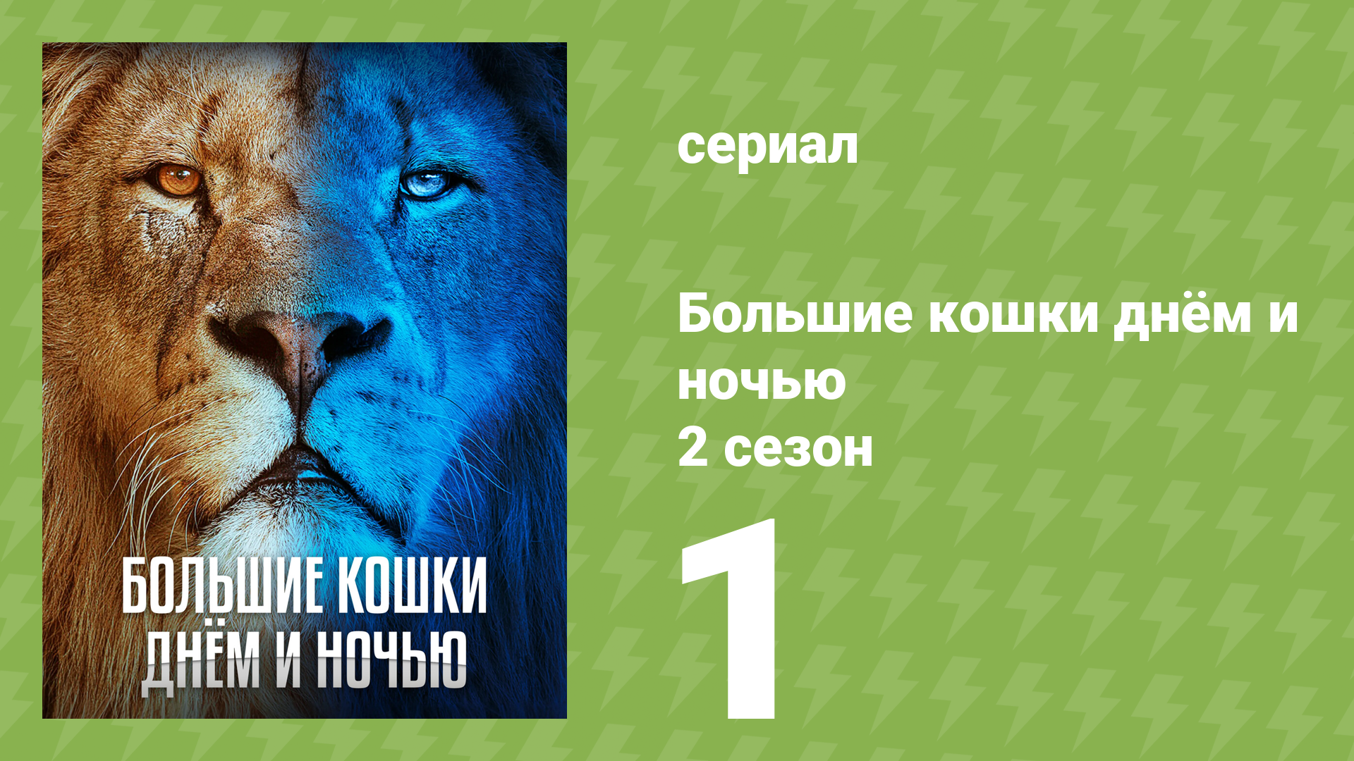 Большие кошки днём и ночью 2 сезон 1 серия «Бунтарские мальчики» (документальный сериал, 2025)