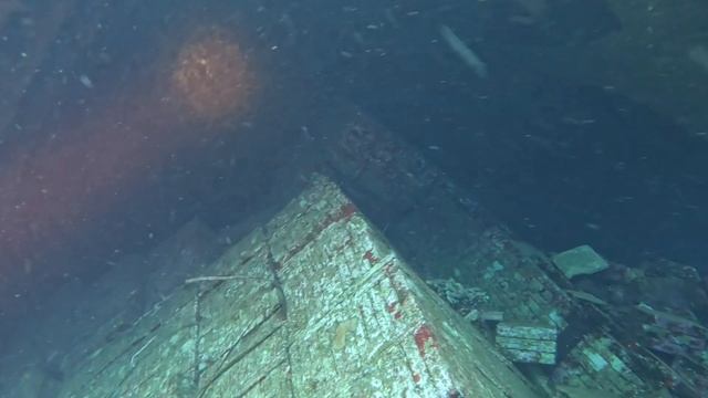 Абу нухас, Marcus, wreck, дайвинг в Хургада, дайвинг в Египет