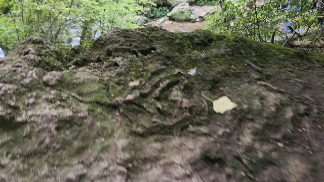 МЕДОВЫЕ ВОДОПАДЫ В Карачаево-Черкесии 27 09 2025 г