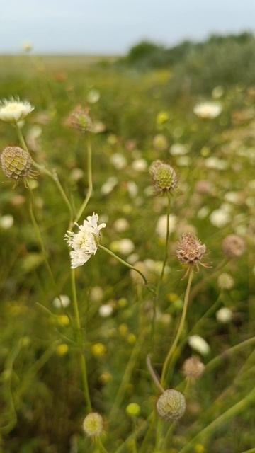 Природа Сибири Саяногорск Хакасия