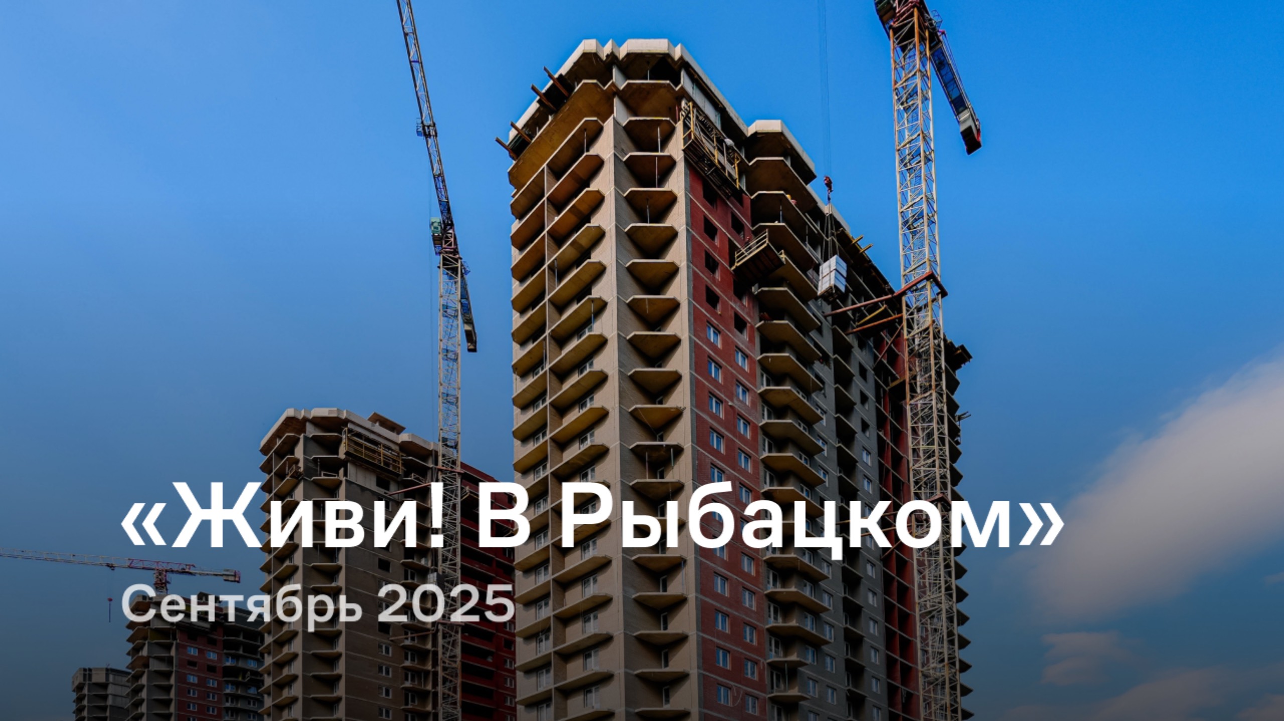 «Живи! В Рыбацком» / Сентябрь 2025