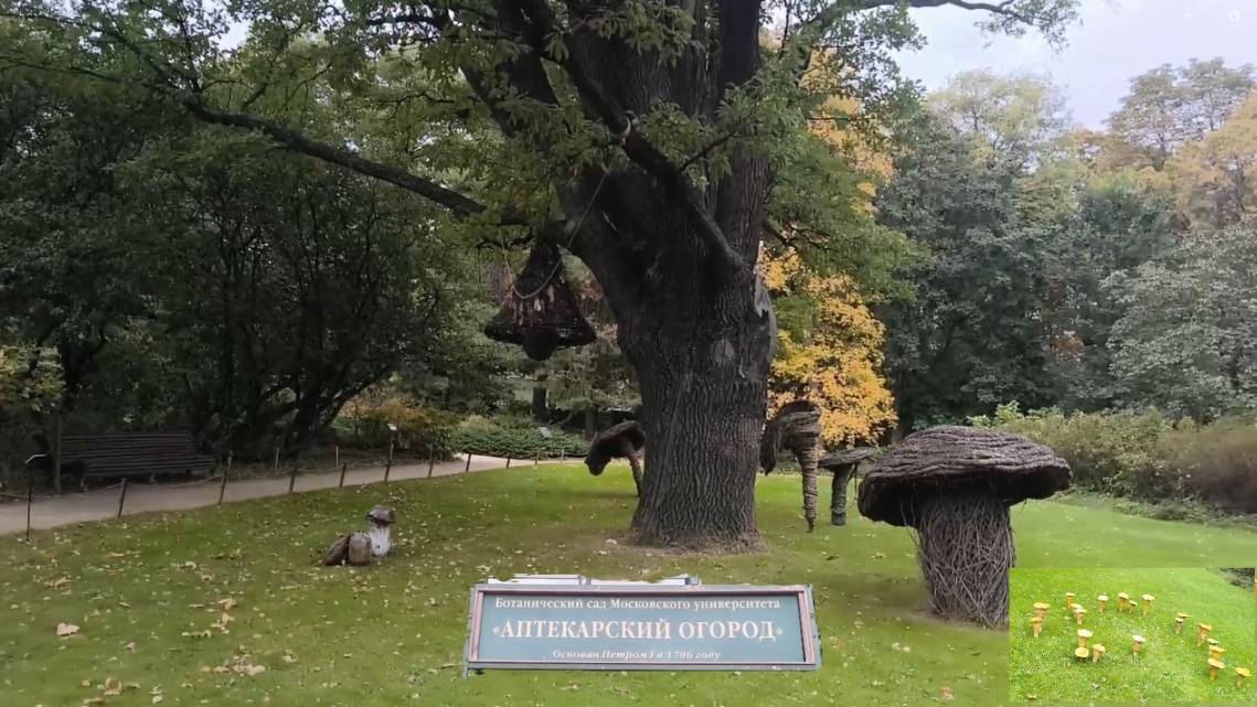 Путешествие  в Аптекарский огород (Ботанический сад г. Москва) часть 2. Прогулки по Москве. #осень