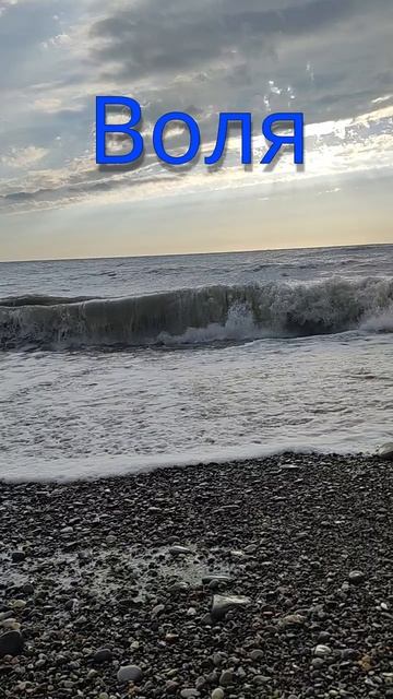 2025-10-05 Движущая сила йоги--почему воля важнее упражнений. Вадим Опенйога.