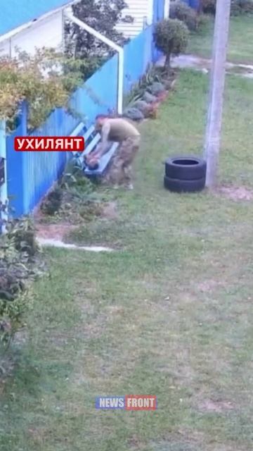 На Украине ТЦК «мобилизовал» кота #коты #украина #мобилизация #ТЦК