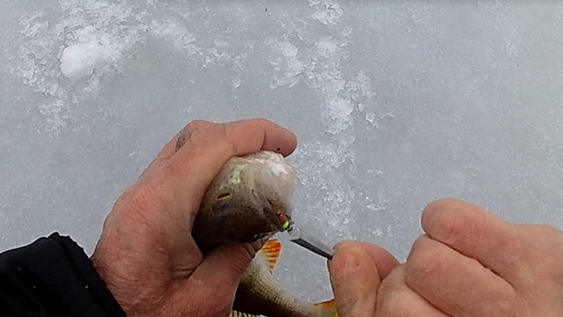 Зимняя блесна Гробик 22