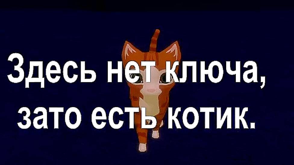 ДОГОНЯЛКИ С СИРЕНОГОЛОВЫМ