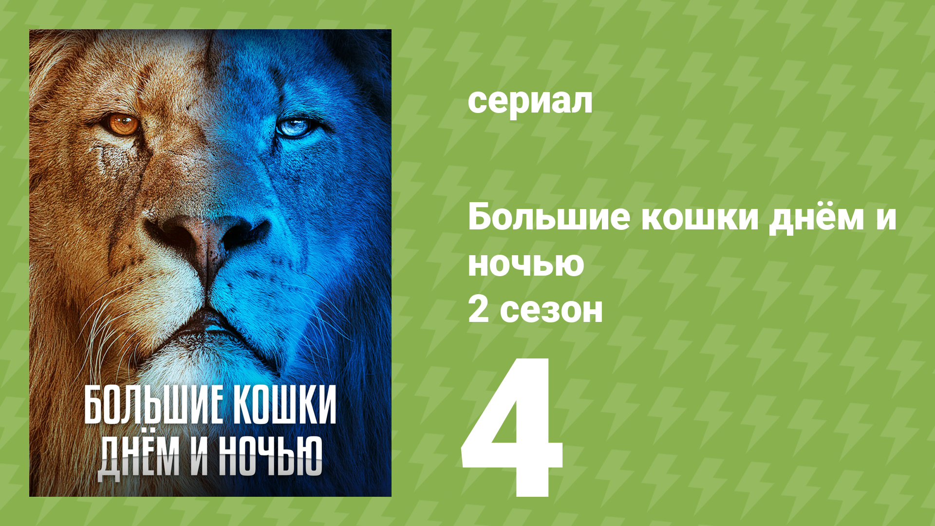Большие кошки днём и ночью 2 сезон 4 серия «Воссоединение» (документальный сериал, 2025)