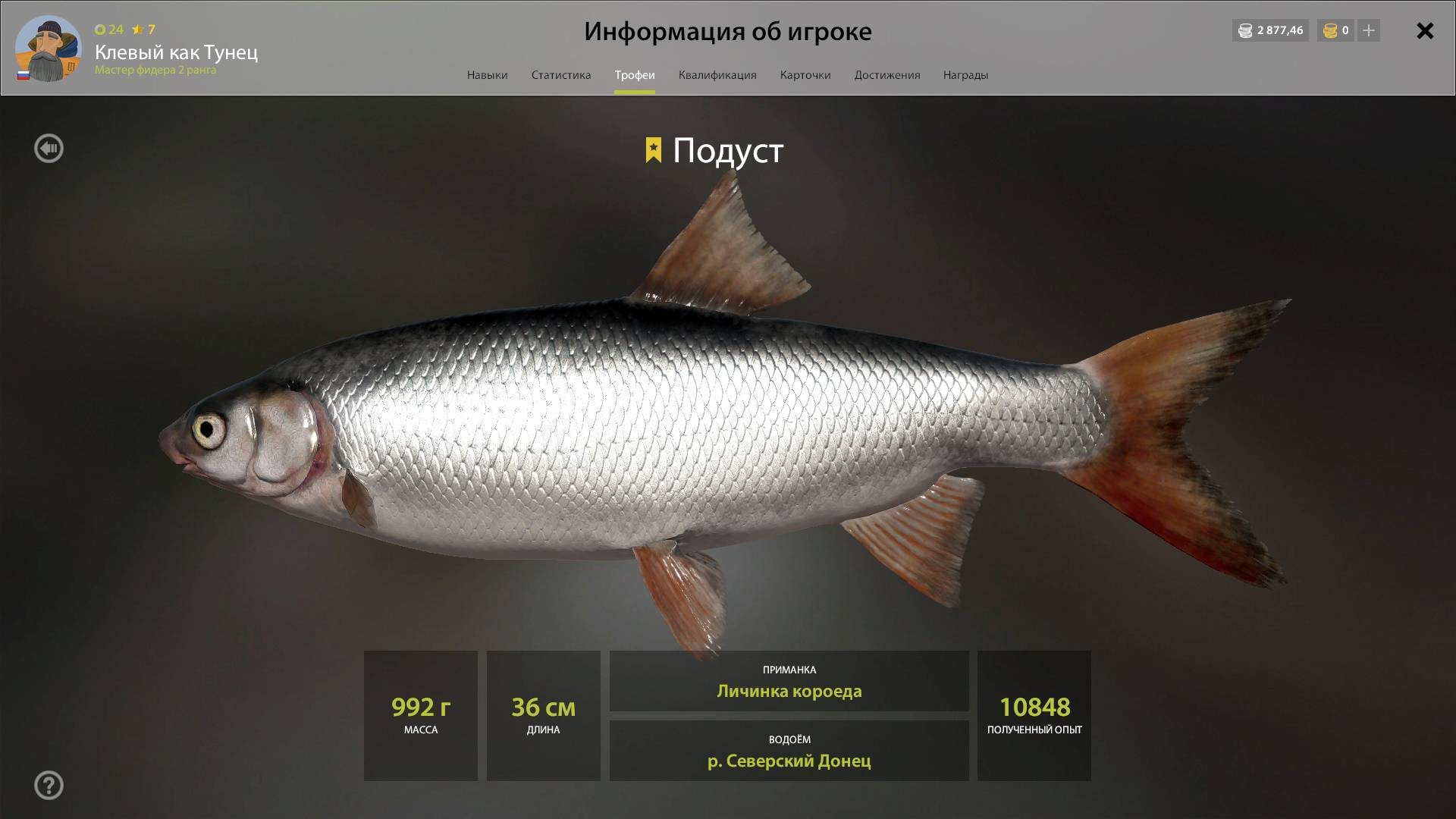 ТРОФЕЙ ПОДУСТ!!!СЕВЕРСКИЙ ДОНЕЦ - РУССКАЯ РЫБАЛКА 4