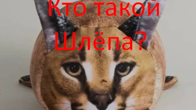 * Шлёпа * МЧС Голубинской области