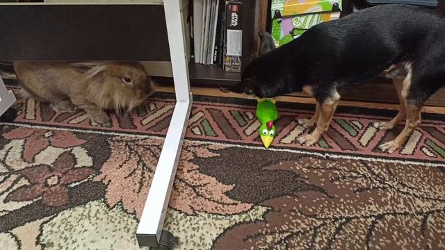 Давай играть!