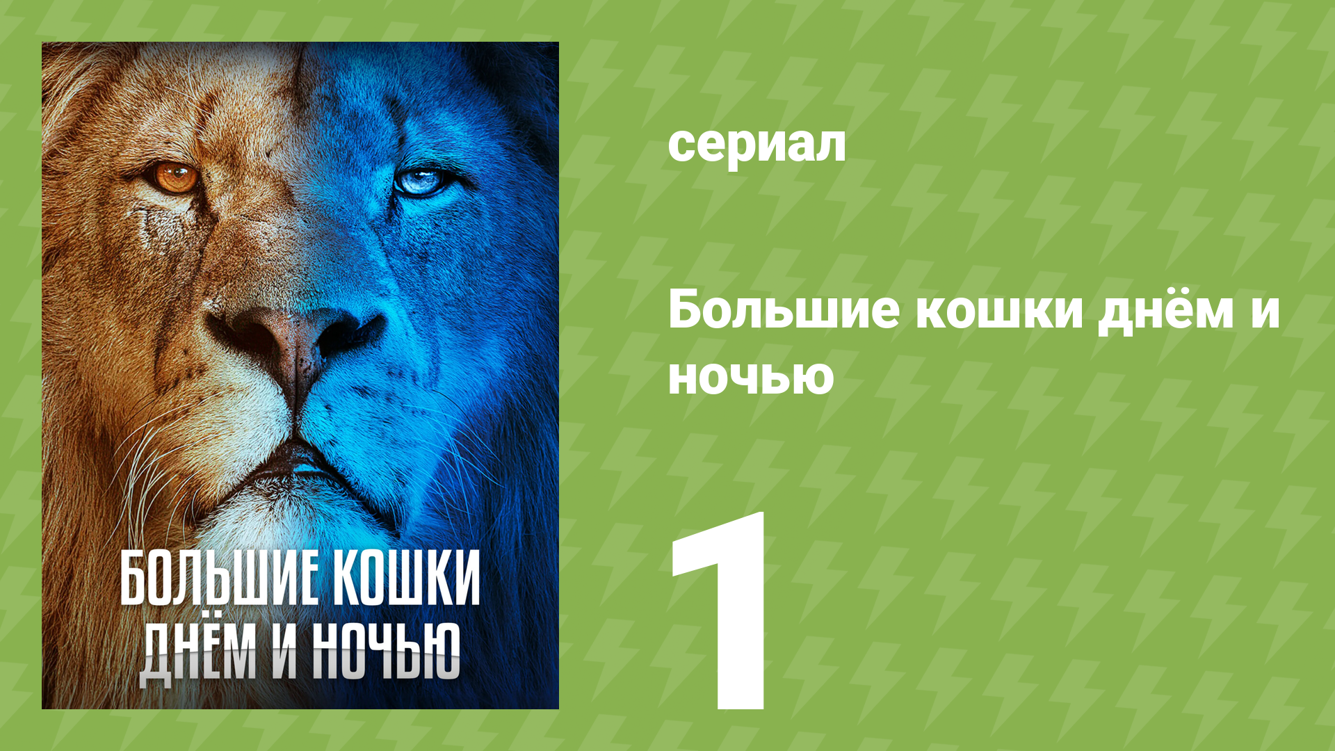 Большие кошки днём и ночью 1 серия (документальный сериал, 2024)