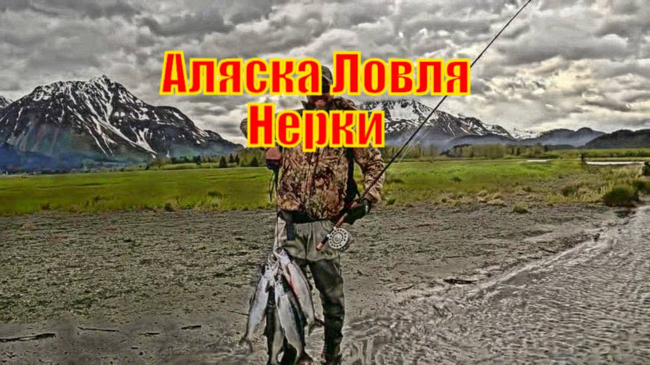 Сьюард Аляска Ловля Нерки