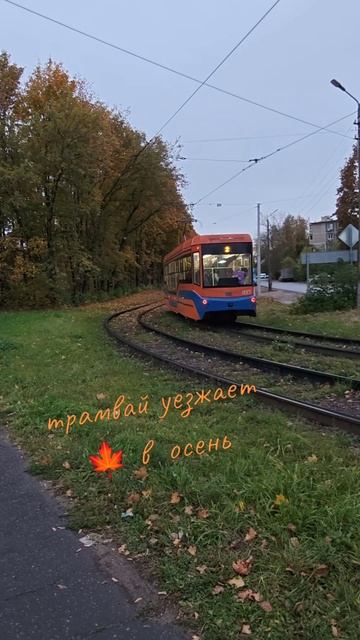 Трамвай оранжевый 🍁 умчался в осень. Мне лета жаль и грустно очень! #житьжизнь #природа #трамвай #ос