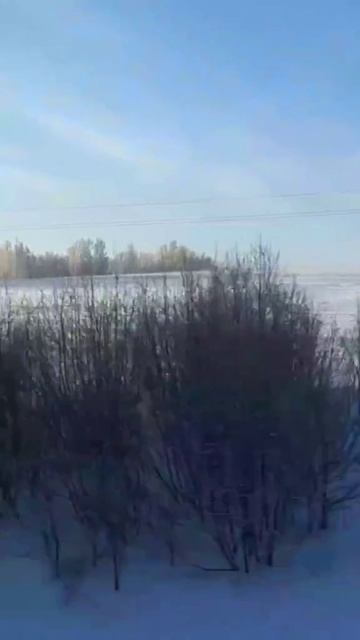 Цените каждый момент в жизни