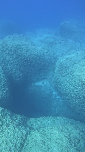 дайвинг в Турции, дайвинг в Каш,