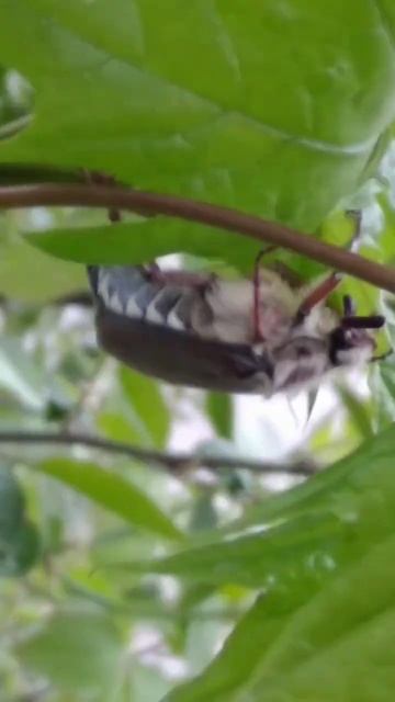 2022-05-12_7096952736410799361_720p